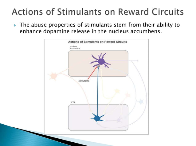 Disorders of the reward system | PPT