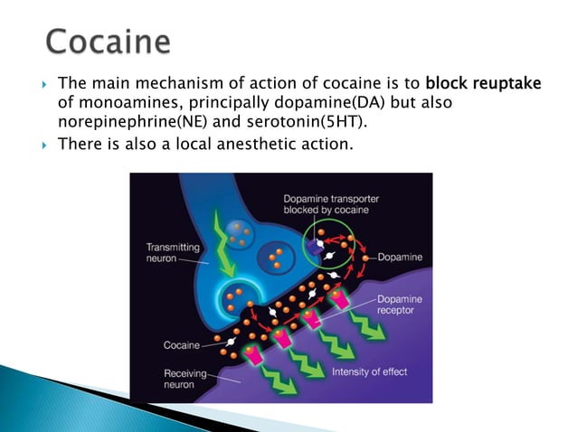 Disorders of the reward system | PPT
