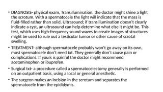 DISORDERS OF THE TESTES AND SCROTum.pptx