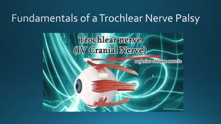 Disorders of the trochlear nerve | PPT