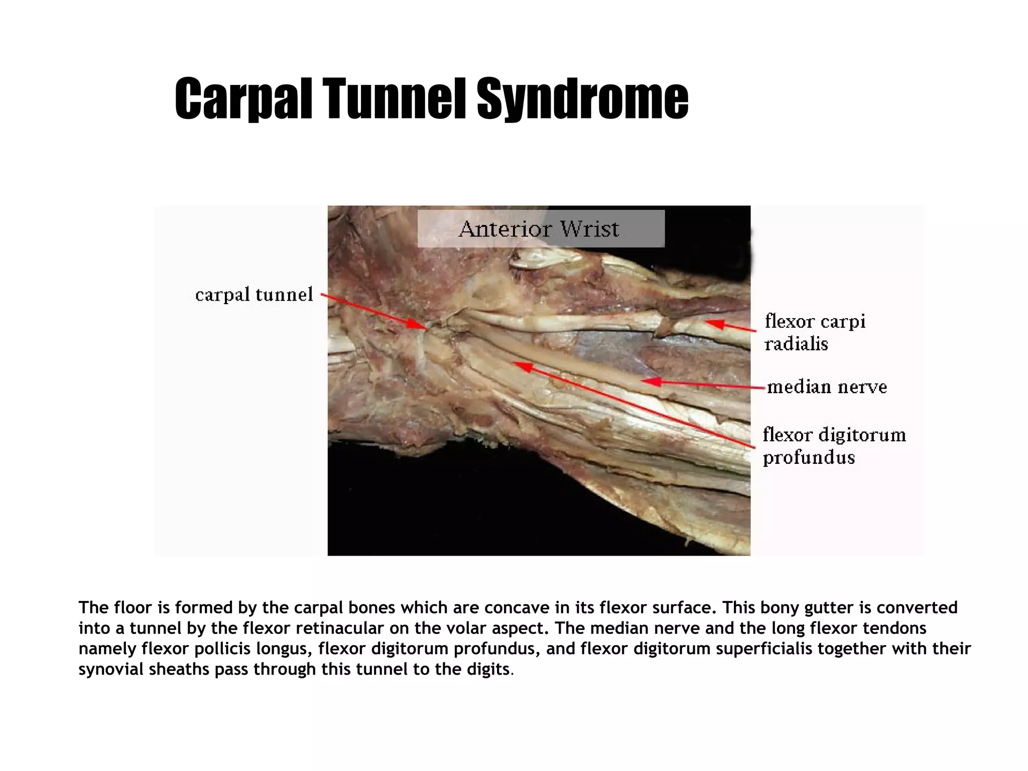 Disorders of upper limb | ODP