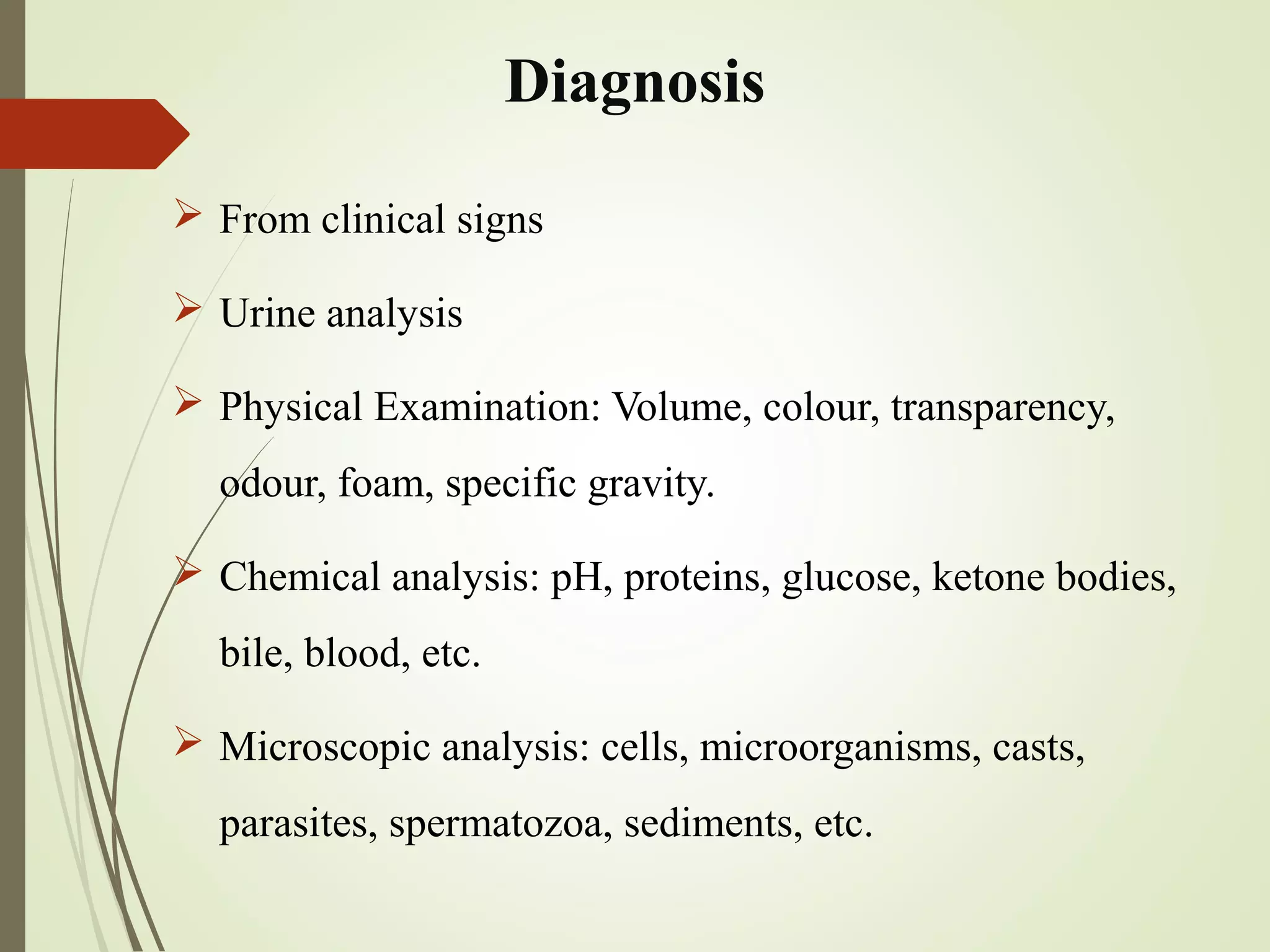 Disorders of urinary system | PPT
