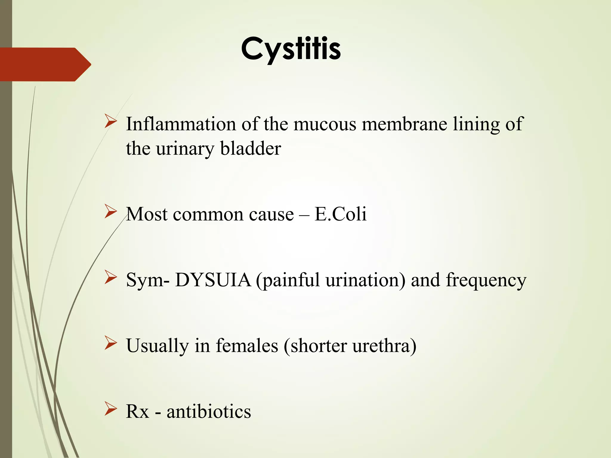 Disorders of urinary system | PPT