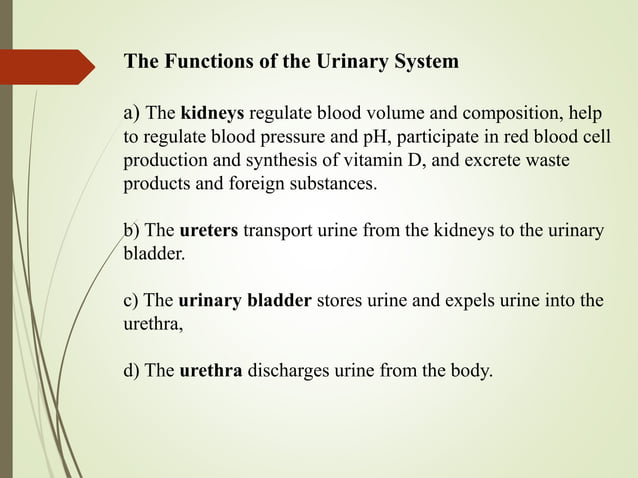 Disorders of urinary system | PPT