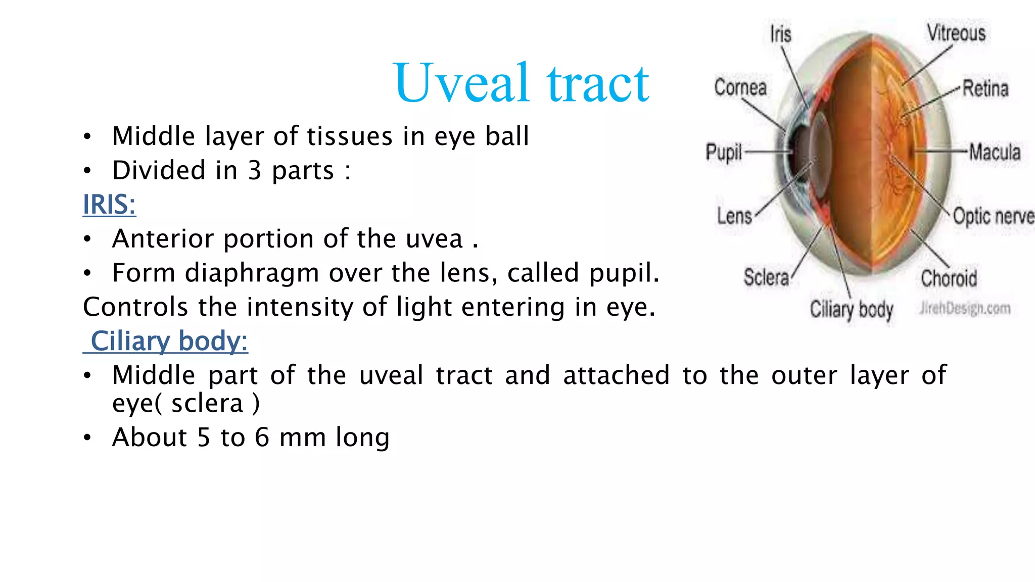 Disorders of uveal tract | PPTX