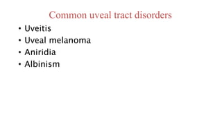 Disorders of uveal tract | PPTX
