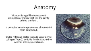 Disorders of vitreomacular interface by dr navid | PPTX