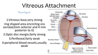 Disorders of vitreomacular interface by dr navid | PPTX