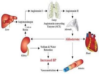 Disorders of water balance - Disorders of water balance like ...