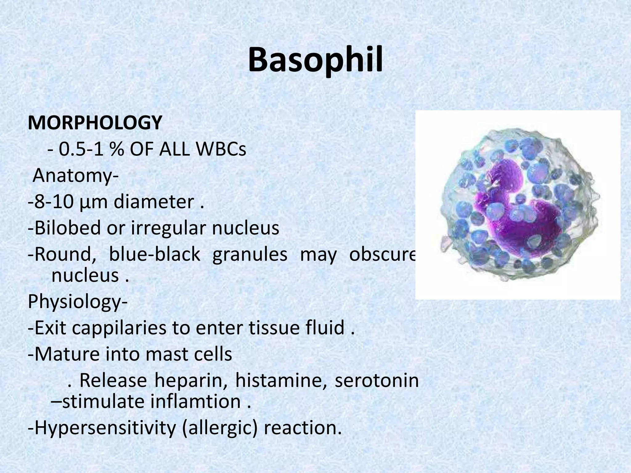 Disorders of white blood cells | PPTX