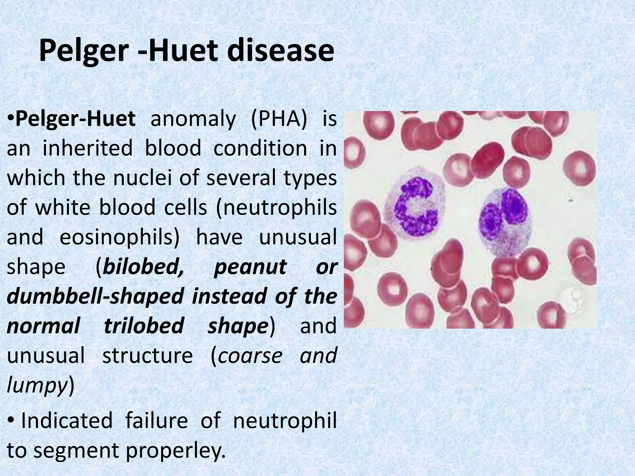 Disorders of white blood cells | PPTX