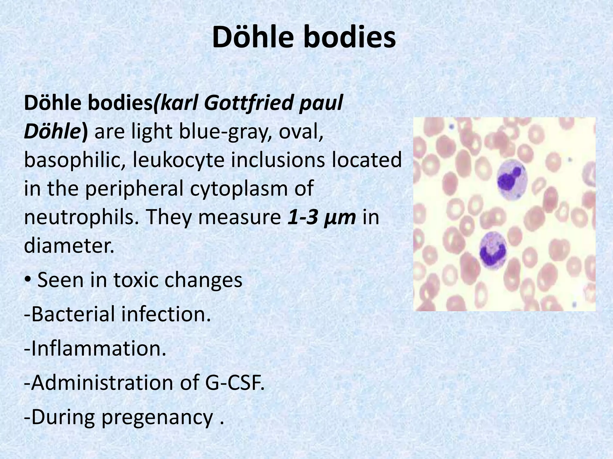 Disorders of white blood cells | PPTX