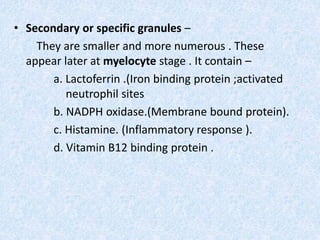 Disorders of white blood cells | PPTX