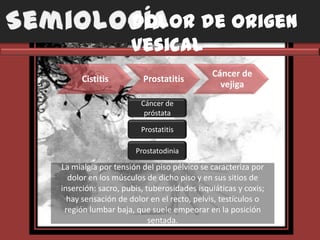 Dispareunia, dolor perineal, genital e inguinocrural | PPSX