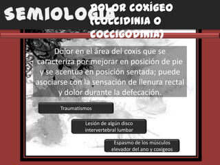 Dispareunia, dolor perineal, genital e inguinocrural | PPT