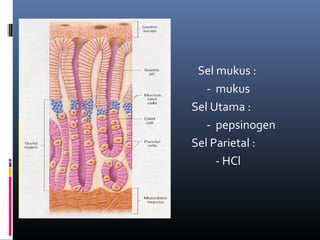 Dispepsia | PPT