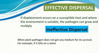 Dispersal of Plant Pathogens | PPT