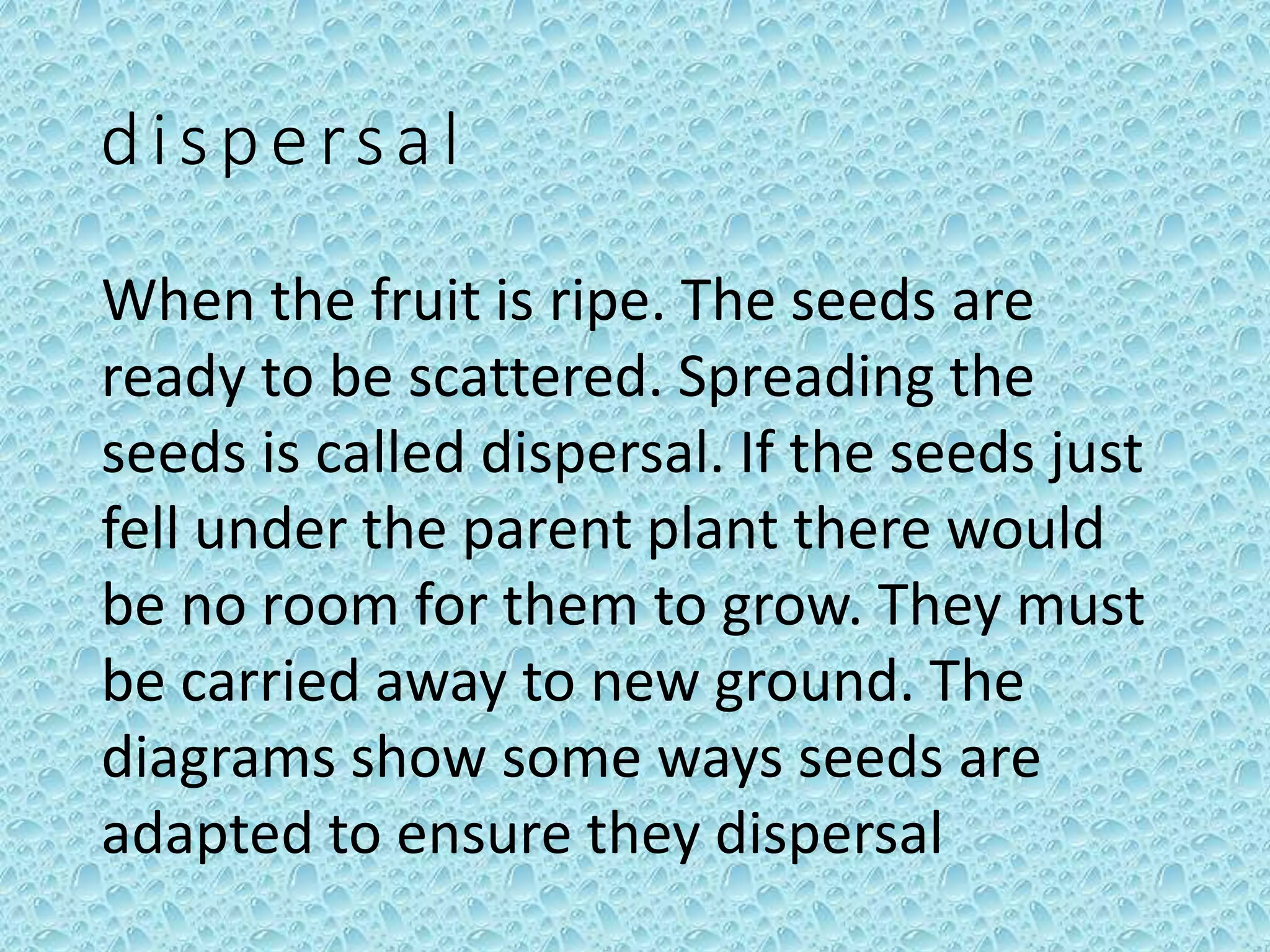 Dispersal | PPTX