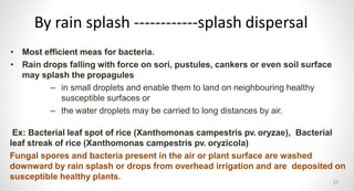 Dispersal of plant pathogen | PPTX