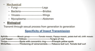 Dispersal of plant pathogen | PPTX