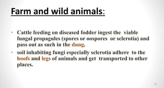 Dispersal of plant pathogen | PPTX
