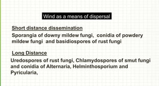 Dispersal of plant pathogen | PPTX