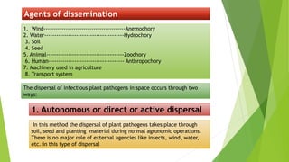 Dispersal of plant pathogens (luqman adil BKUC | PPTX | Gardening ...