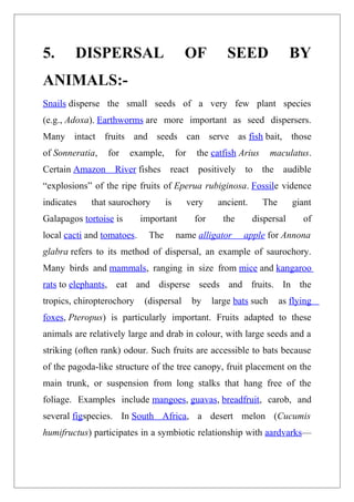 Dispersal of seeds by animals | DOC