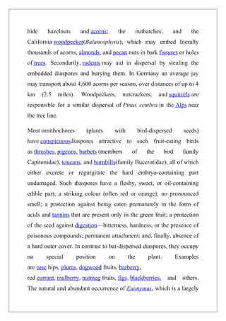 Dispersal of seeds by animals | DOC