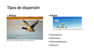 Dispersión de especies | PPTX