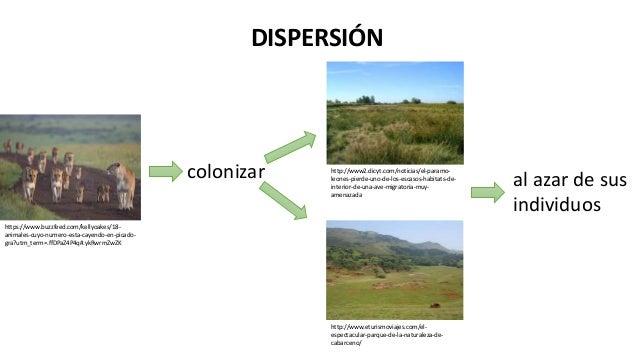 Dispersión