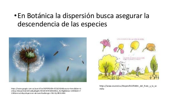 Dispersión
