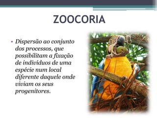 Dispersão de Sementes por Animais | PPTX
