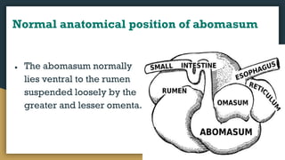 Displaced abomasum by ahmed jama ppt | PPTX