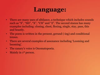 Displaced person looks at a cage bird | PPTX