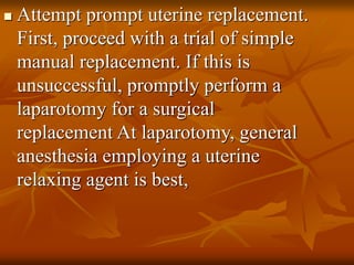 displacement of the uterus.pptx
