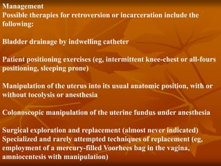 Uterus Is thick muscular walls adapt to the growth of the fetus and ...