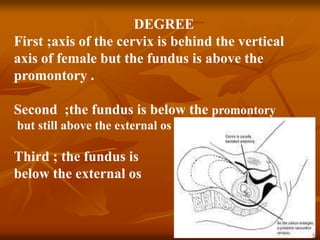 Uterus Is thick muscular walls adapt to the growth of the fetus and ...