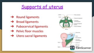 Displacement Of Uterus 2 Pdf Displacement Of Uterus Pdf