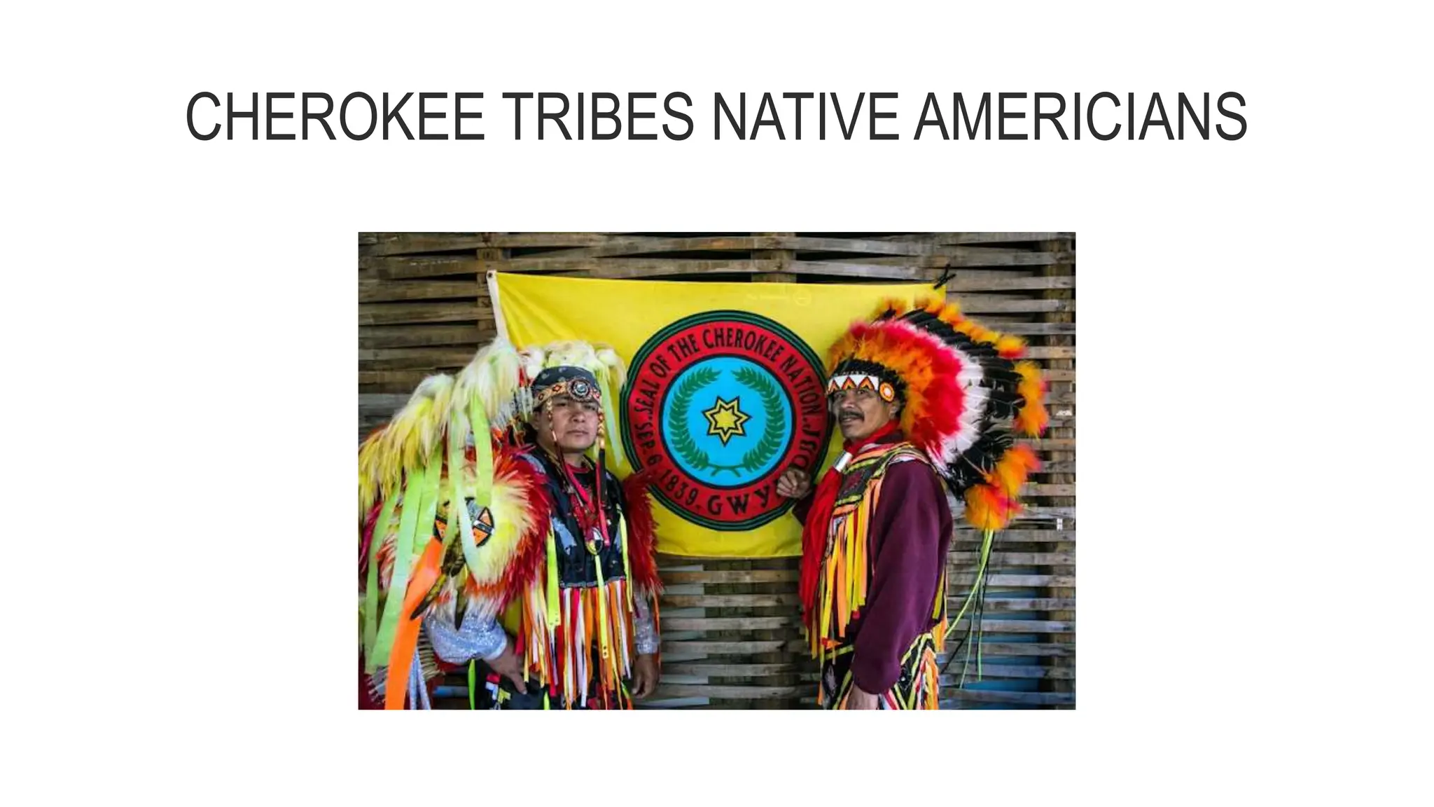 DISPLACING INDIGENOUS PEOPLES.pptx