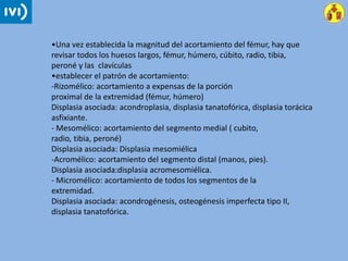 displasia osea esqueletica nomenclatura casos | PDF