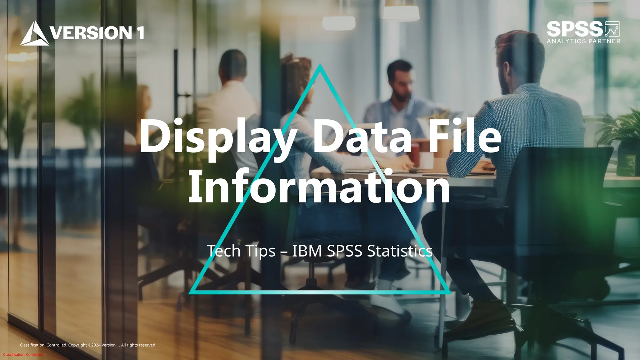 Display Data File Information in IBM SPSS Statistics.pptx