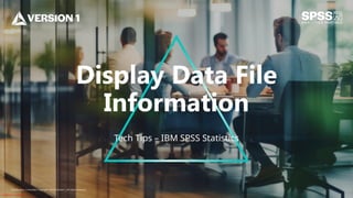 Display Data File Information in IBM SPSS Statistics.pptx