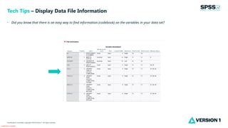 Display Data File Information in IBM SPSS Statistics.pptx