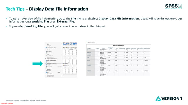 Display Data File Information in IBM SPSS Statistics.pptx