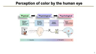 Display performance and their physics | PPT