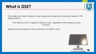 Display screen equipment 101 | PDF