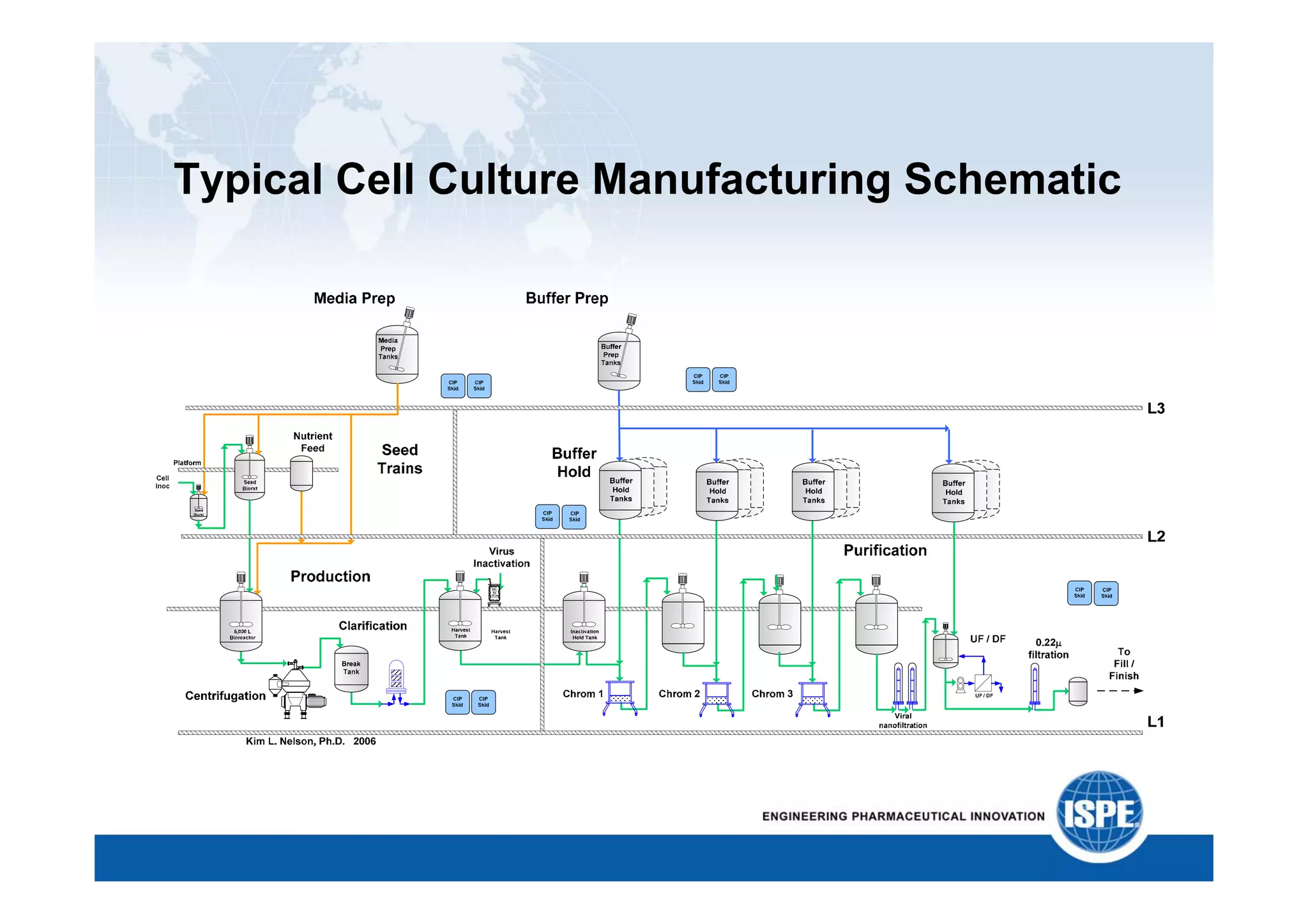 Single Use (Disposables) Presentation | PDF