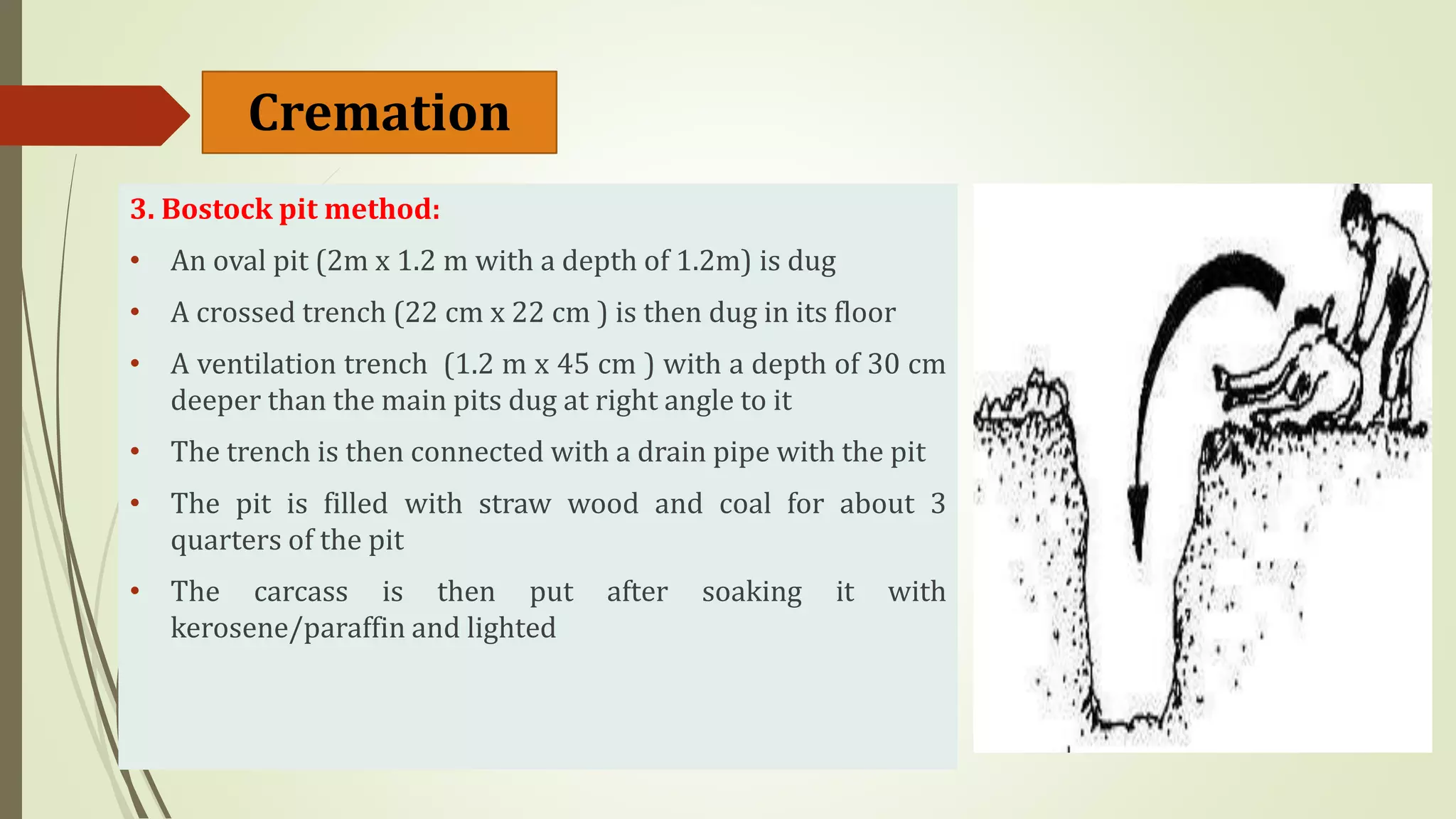 Disposal-of-carcasses-1.pptx