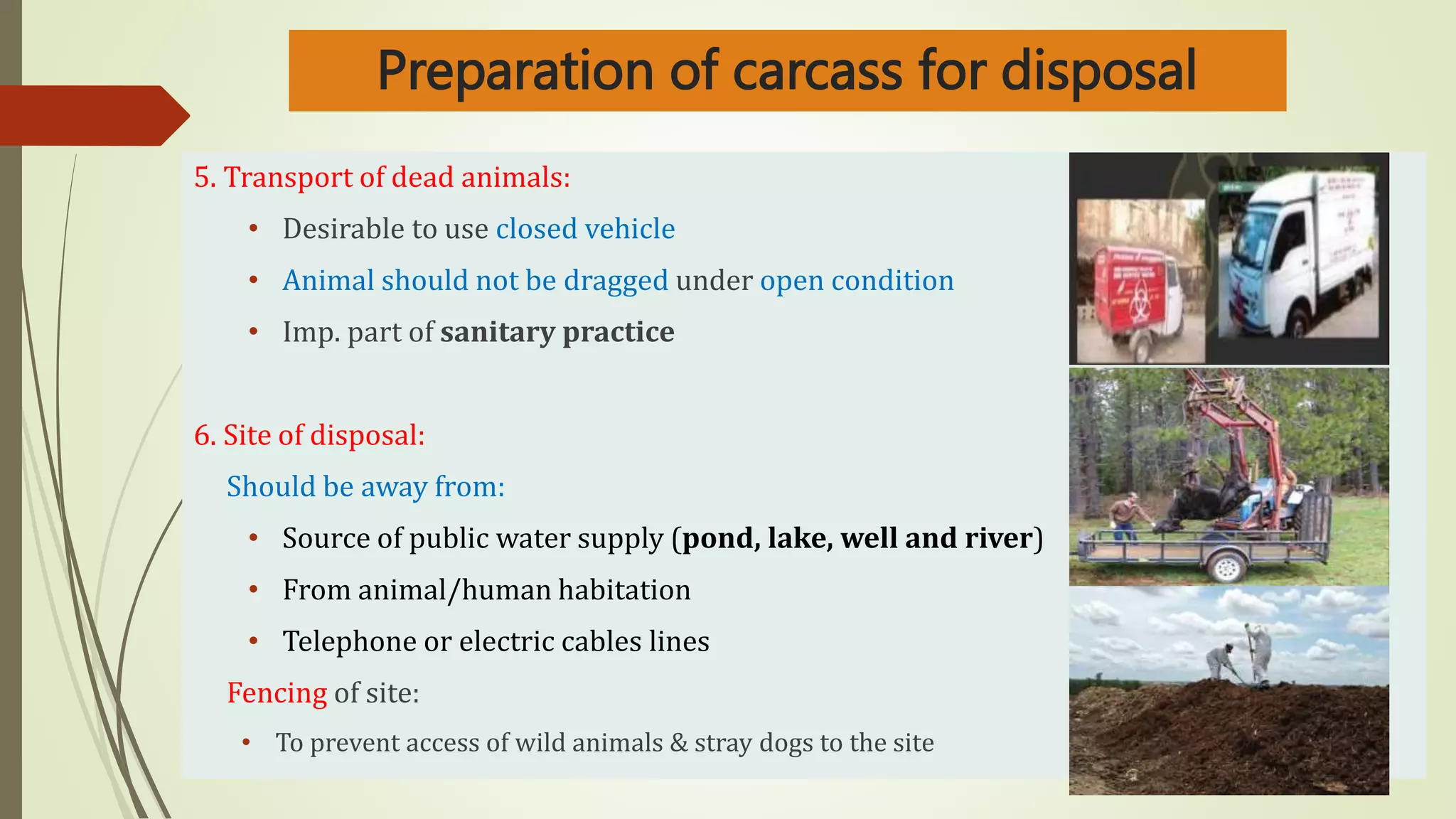Disposal-of-carcasses-1.pptx